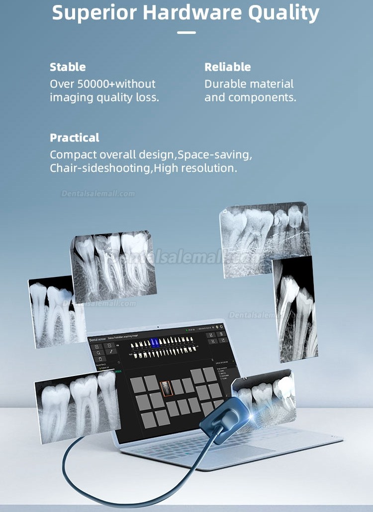 Dental Digital X-Ray Sensor RVG Intraoral Sensor System HD Image With ...