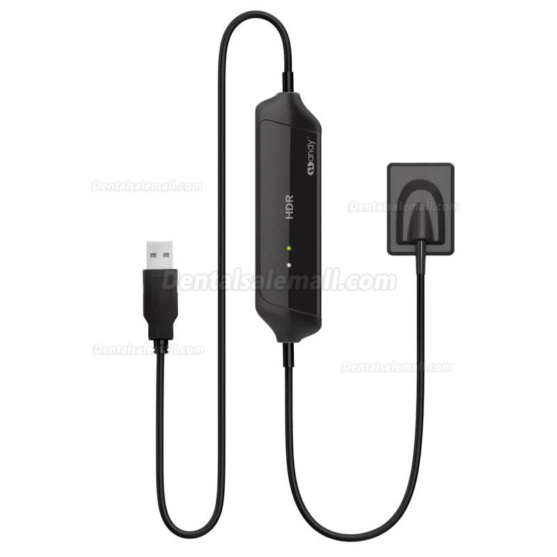 Handy HDR-600A Digital Dental X Ray Sensor Intraoral X-Ray Imaging ...